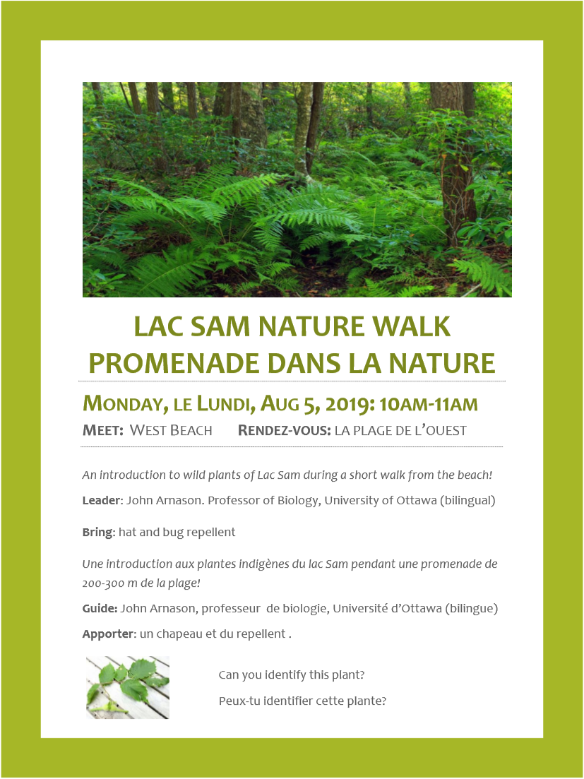 Activities – Lac Sam